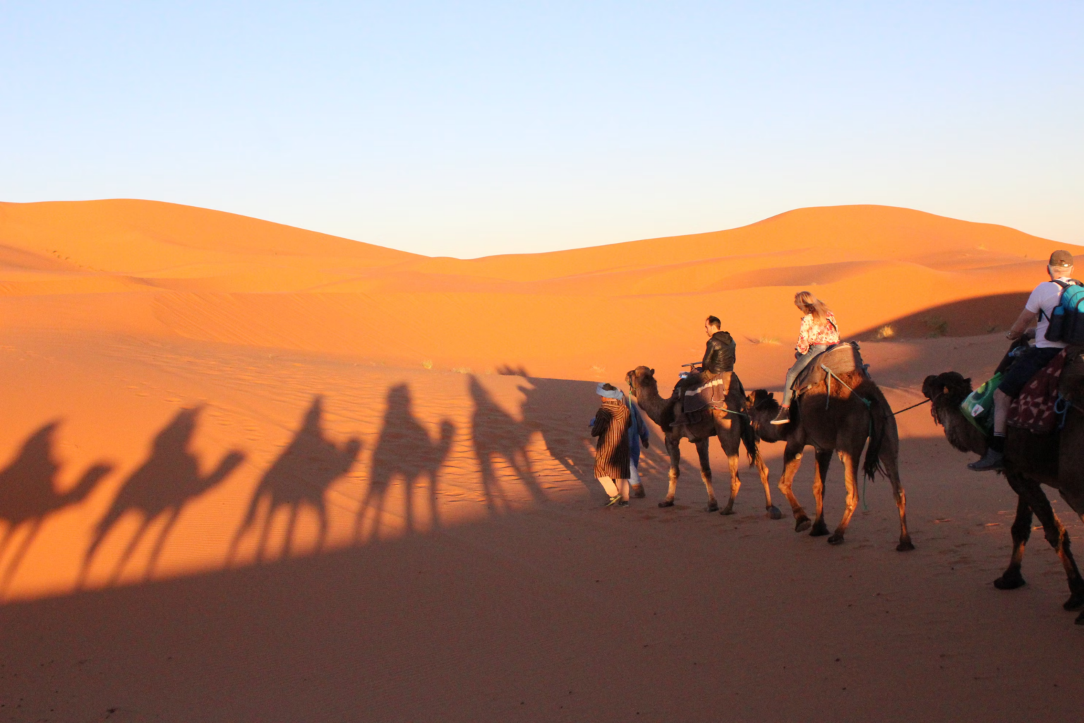 % The Best Ways to Find Travel Buddies
