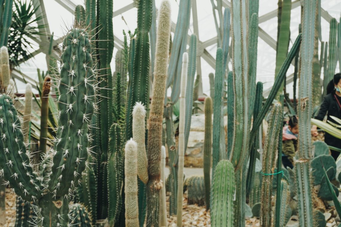 % 9 Hidden Gems in Cairo You Must Visit