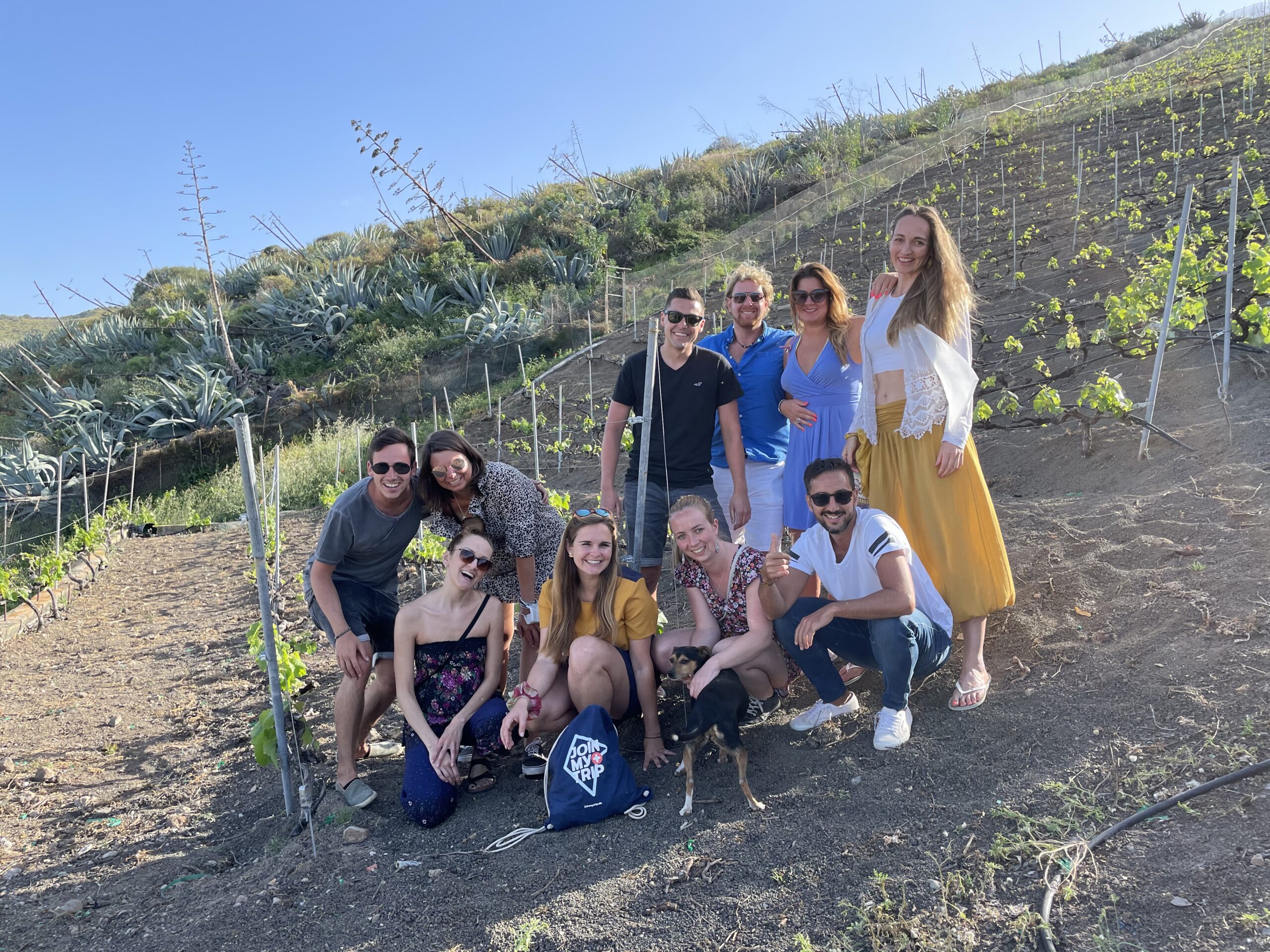 % Which Tour Operators to Choose for Your Next Holiday?