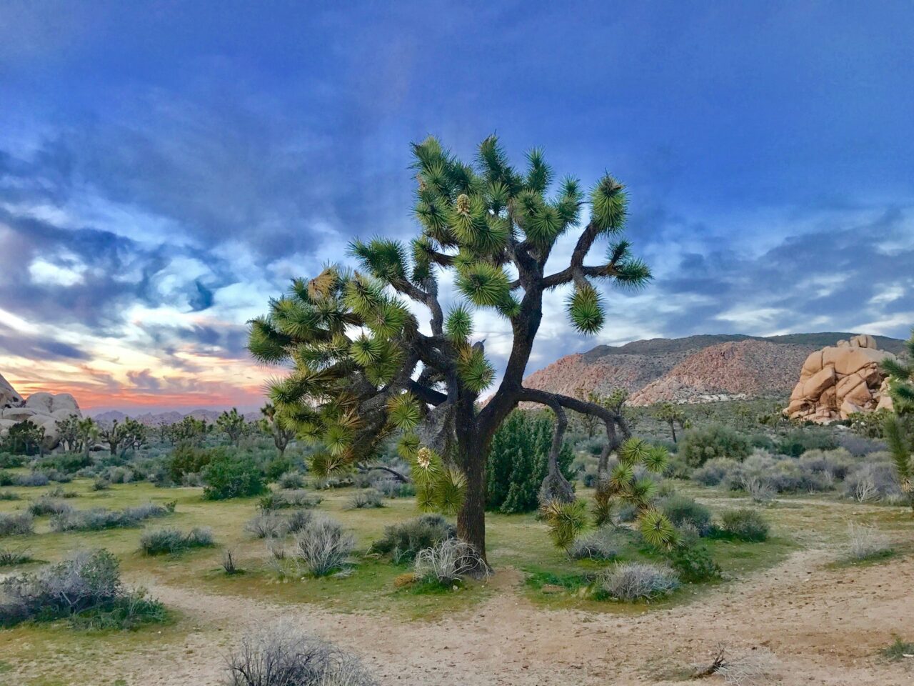 % 20 Best Places to Visit in North America (for Group Trips)